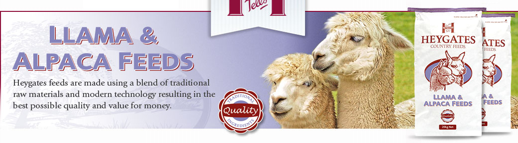 Llama & Alpaca feeds - Heygates